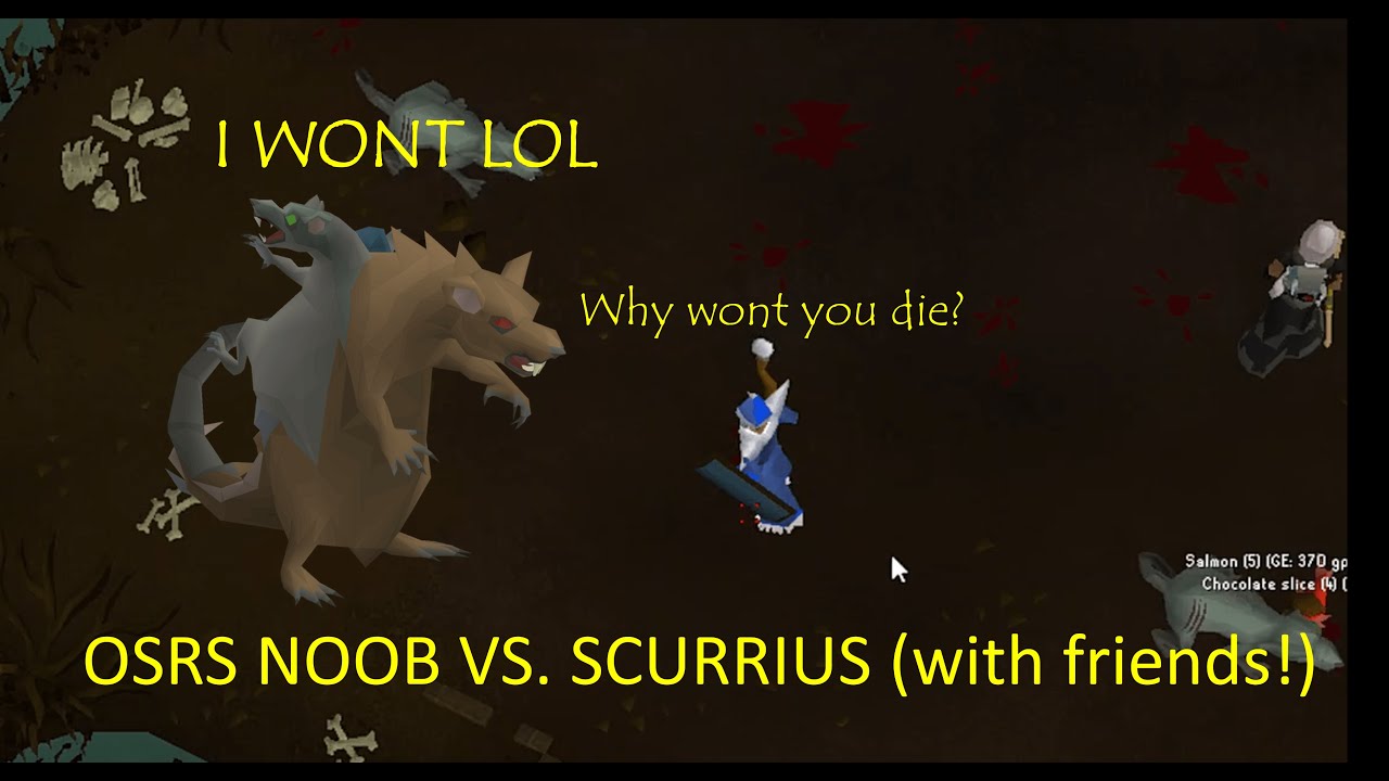 Can this NOOB kill the Giant Rat? - YouTube