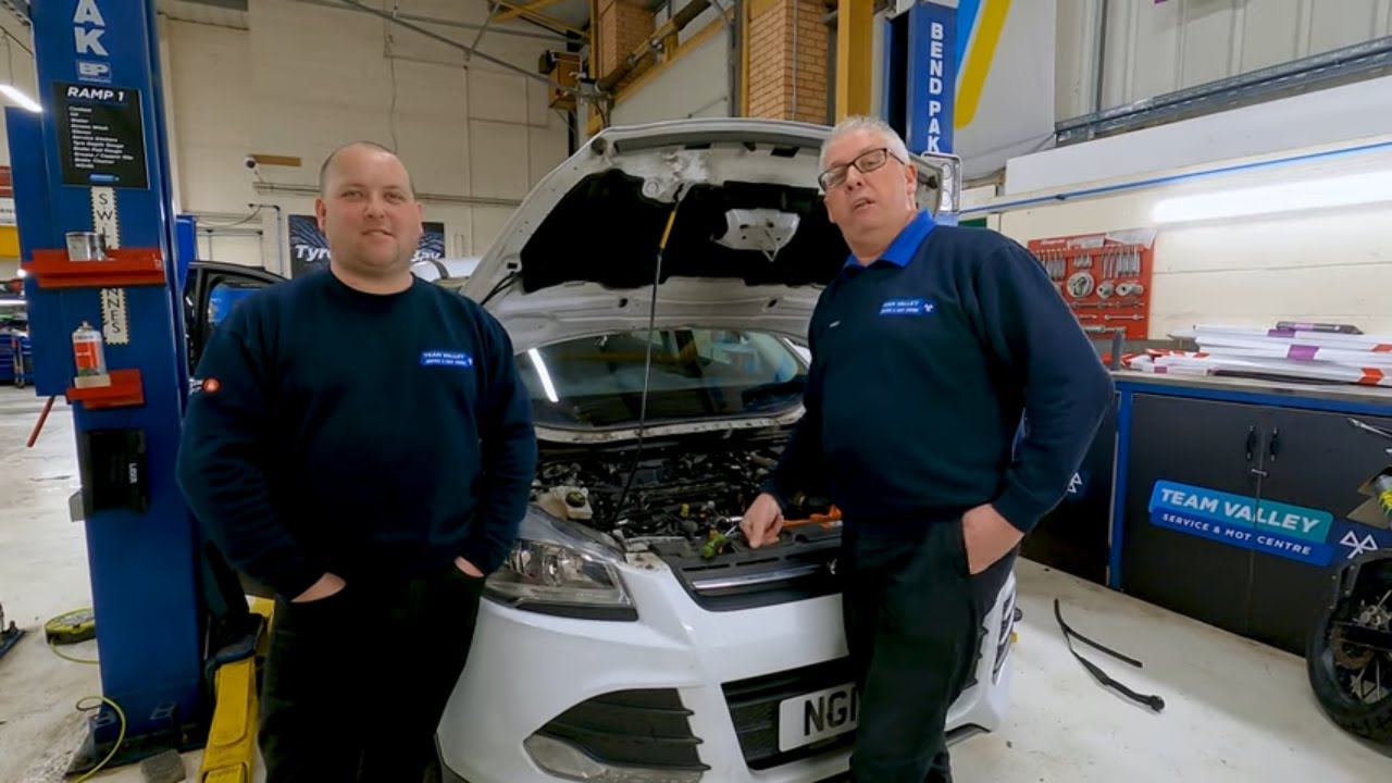 Just another week in paradise Ep 37 - YouTube