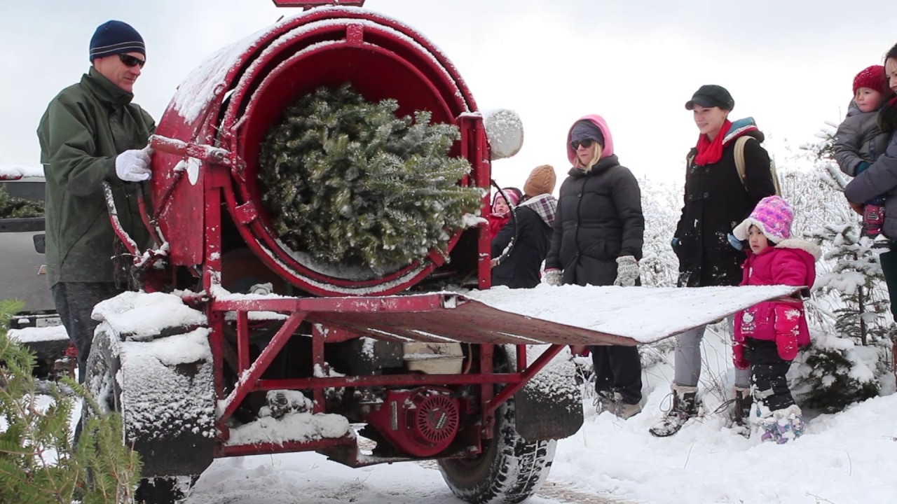 Antigonish Montessori Tree Farm - YouTube