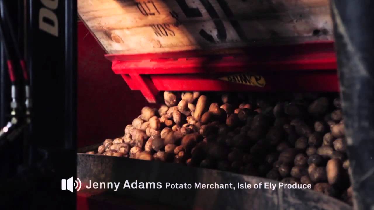 Isle of Ely Produce: From Field to Frier - YouTube