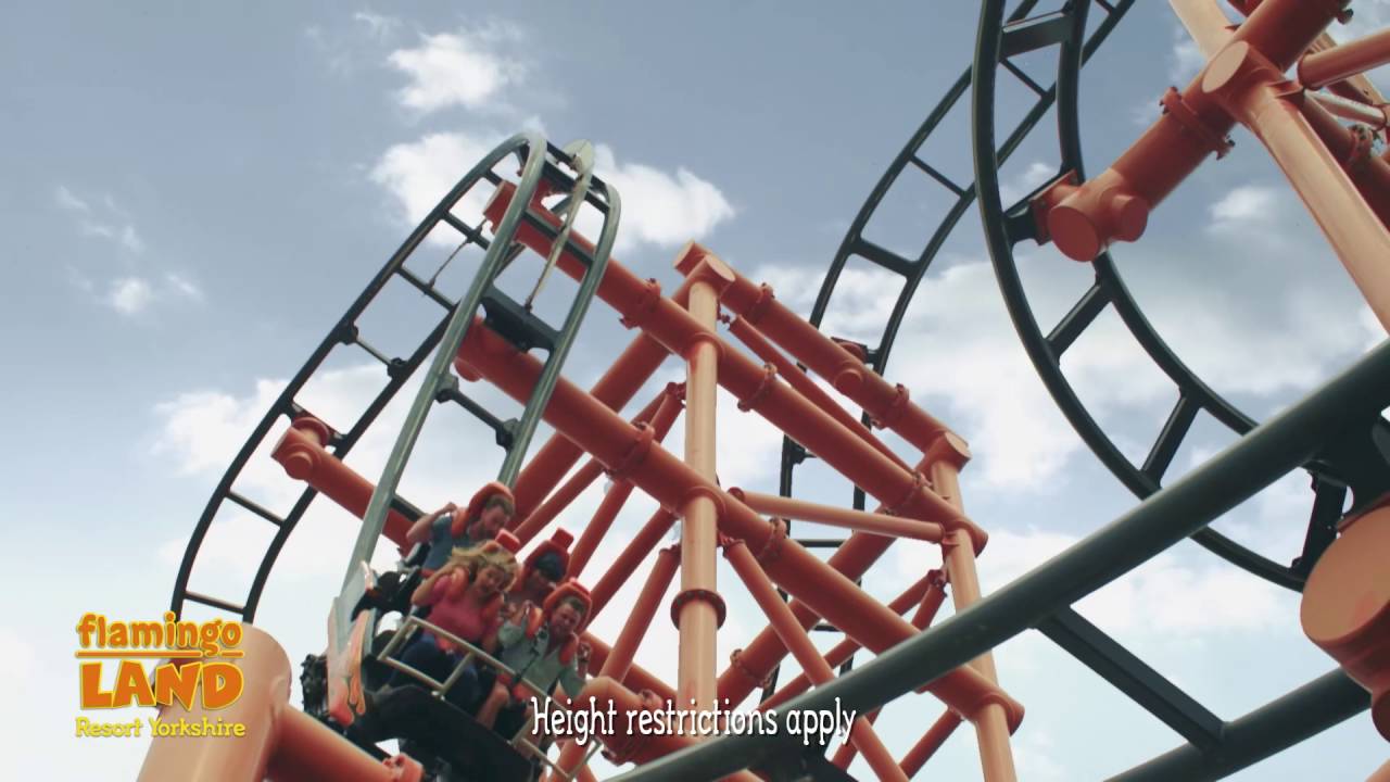 Ashley graham flamingo razor commercial - beryeo