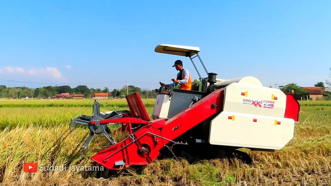 KOMBI SAWAH MAXXI CORN TYPE G MATIC MEMANEN DENGAN SANTAI - YouTube