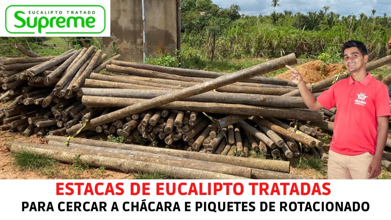 Estacas de Eucalipto com Tratamento Químico. Qualidade, Resistência e ...