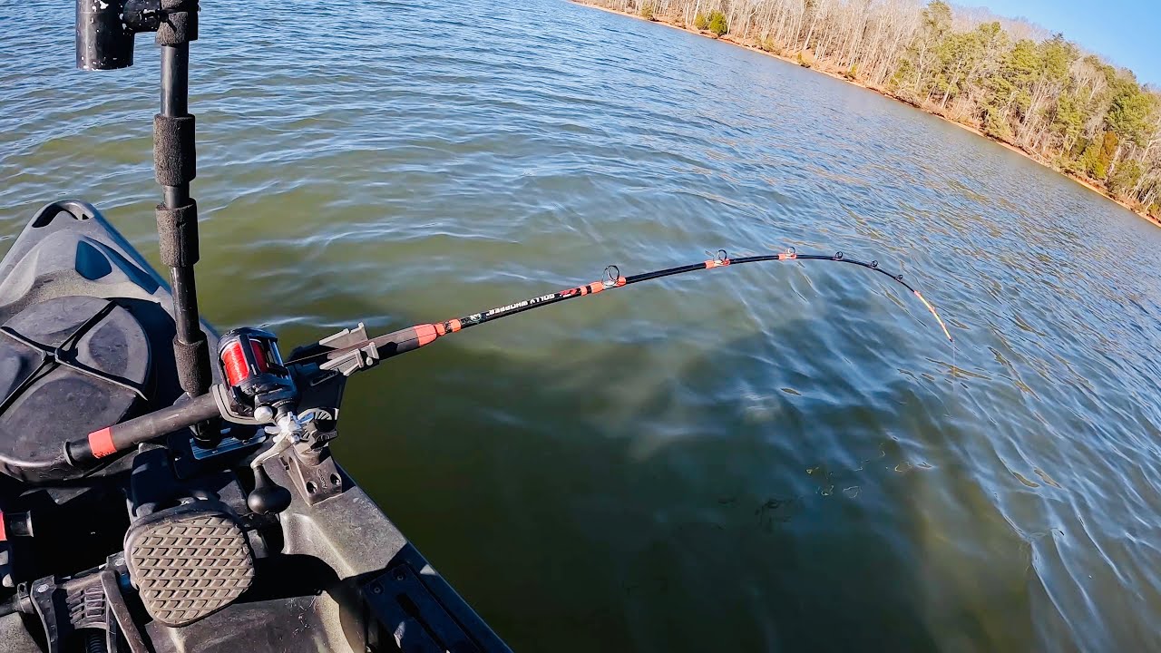 Golly Whopper Size Fish Takes The Bait - YouTube