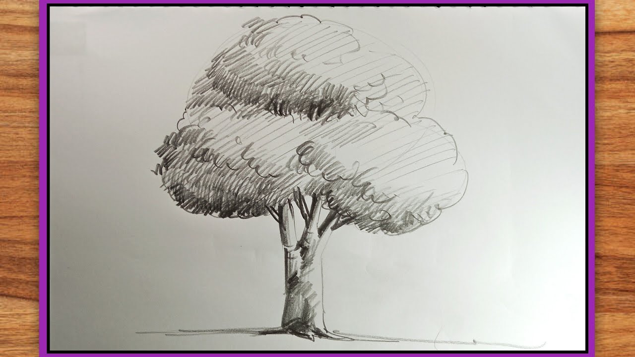 Tree drawing very easy 🎄 with pencil sketch ️ - YouTube