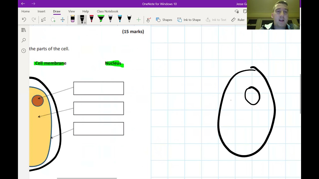 JC Science 2019 Q1 Cells - YouTube