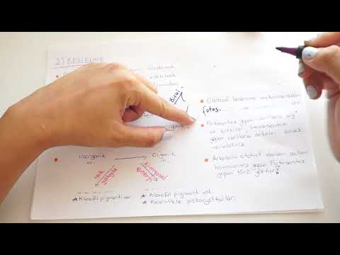 9. Sınıf | Canlıların Ortak Özellikleri - 1 ( TYT 1 )