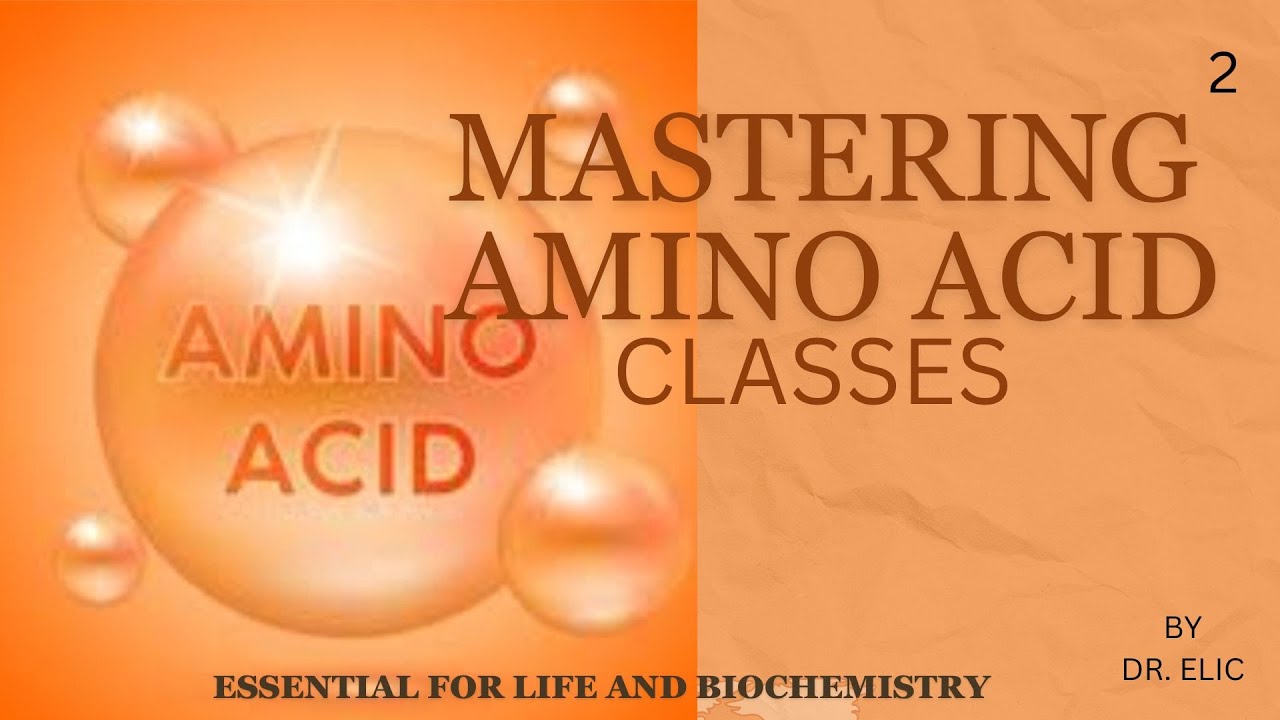 Amino Acid Classes Explained! 🧬🔥" #chemistry #education - YouTube