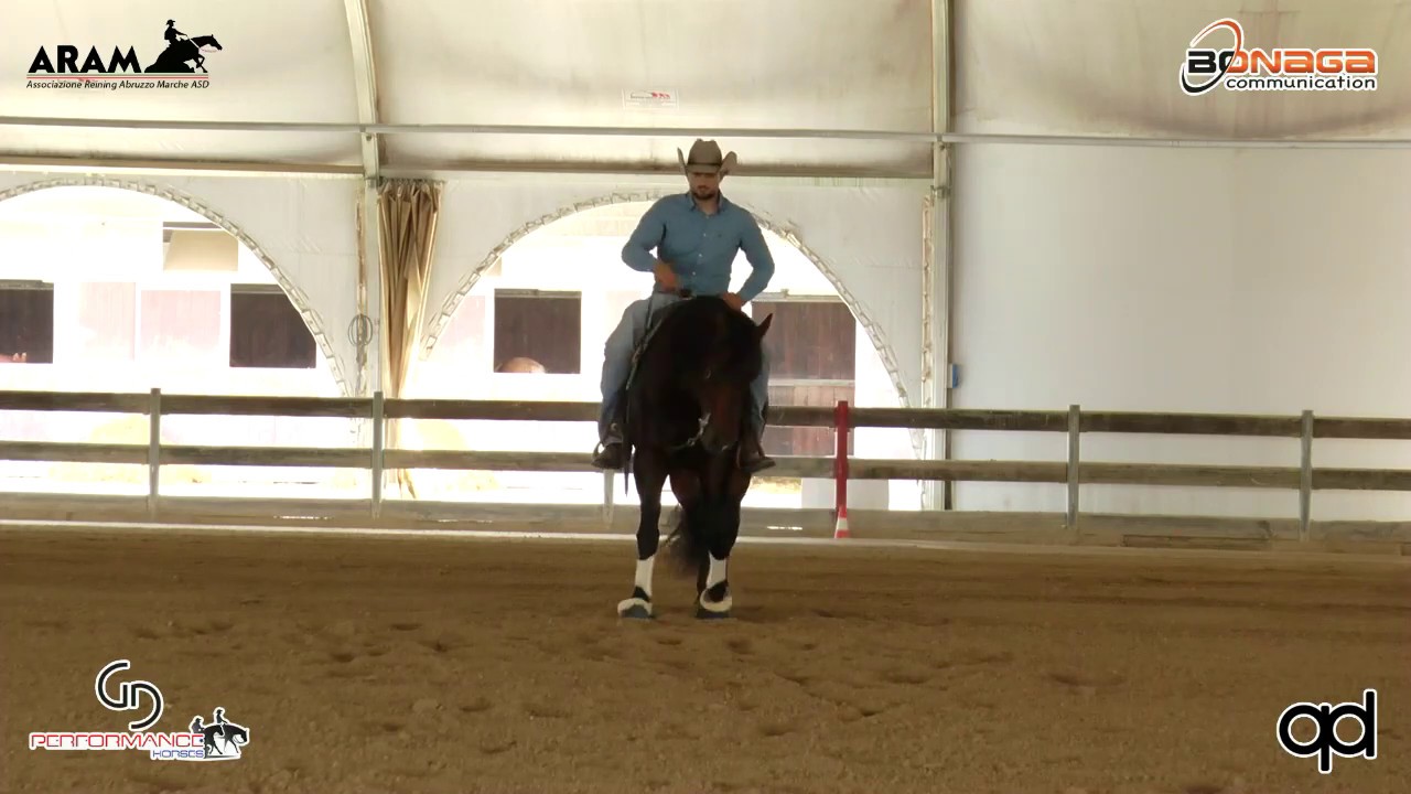 1 tappa ARAM 2020 - DI GIAMBERARDINO MATTEO & FROZEN ARISTOCRAT score ...