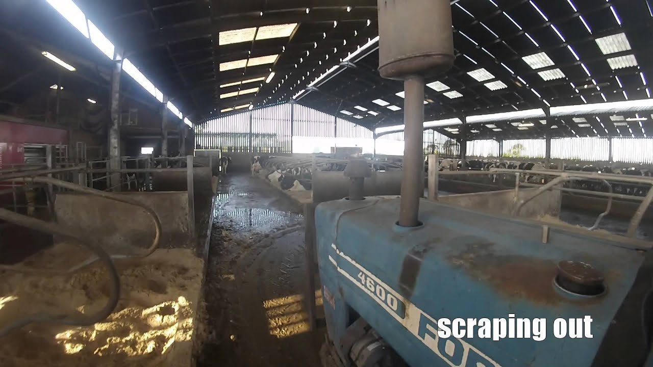 scraping out with ford 4600 - YouTube