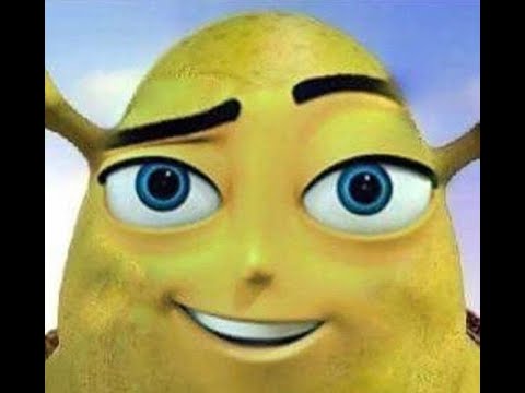 Alice Gas Ferrari but it's the best part earrape