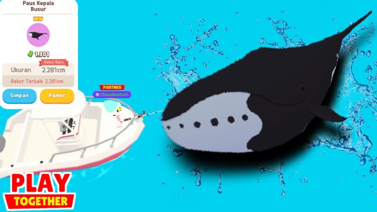 best moment ikan raksasa paus busur panah play together - YouTube