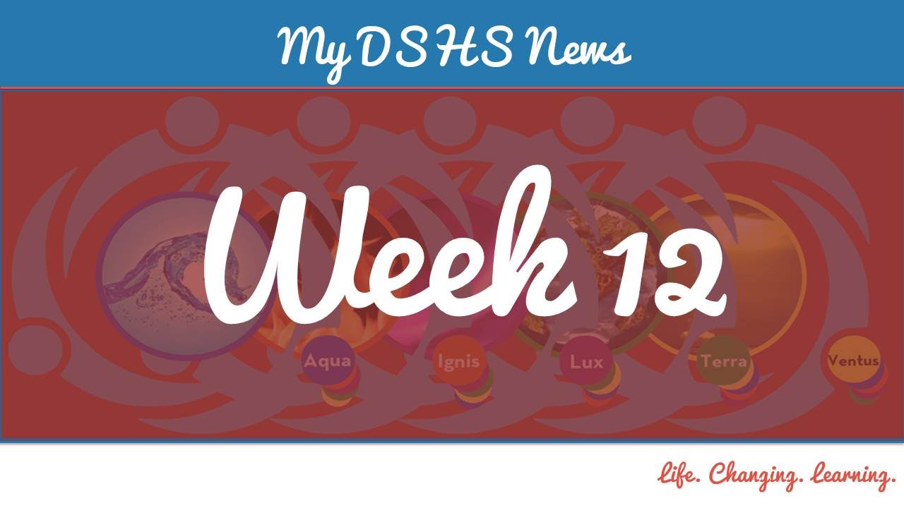 My DSHS News 12 - YouTube