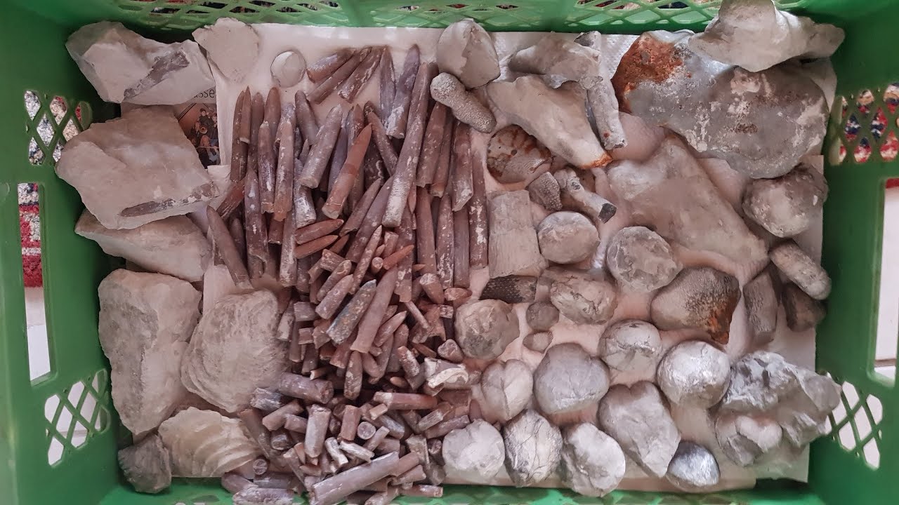 Fossilien suchen bei Outdoor Hannover in Hannover Misburg - YouTube