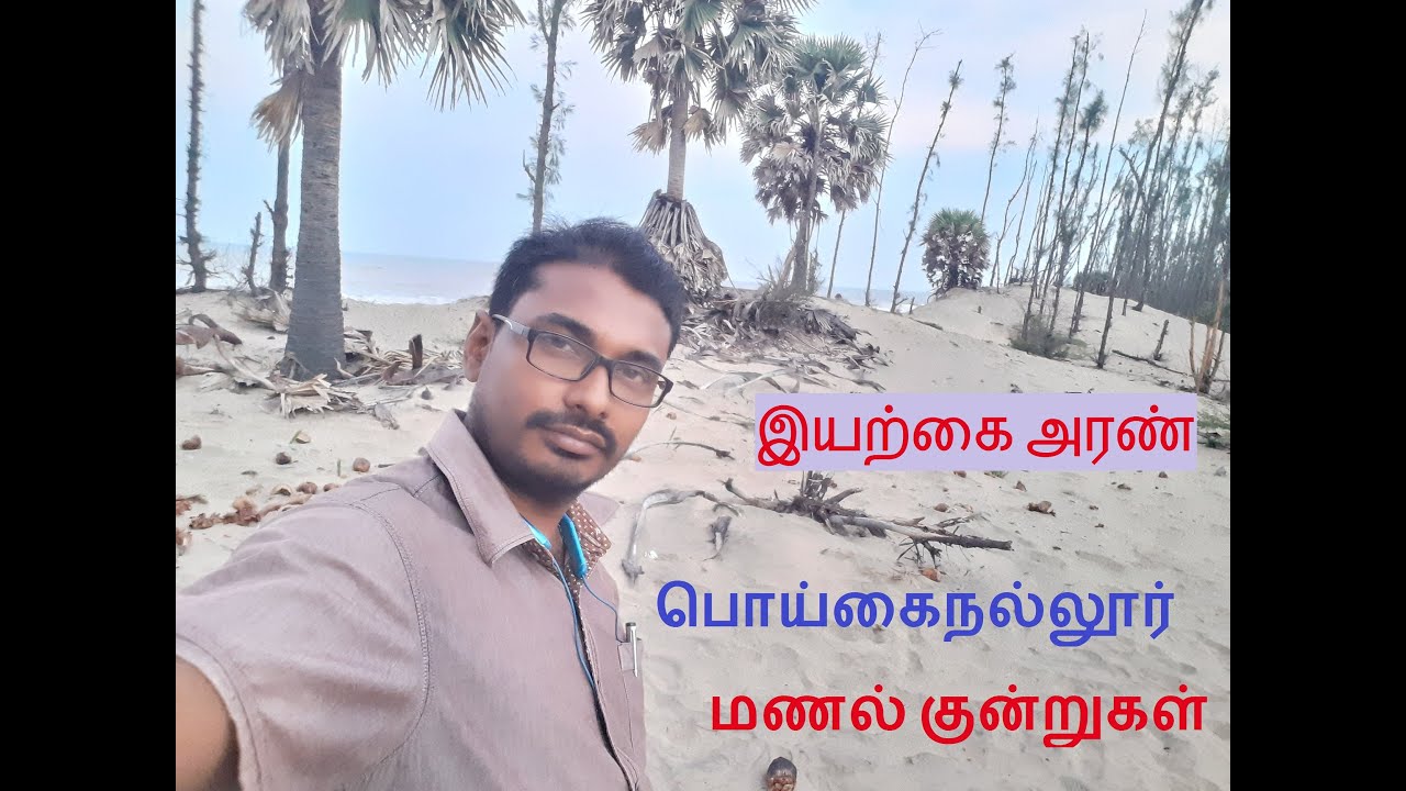 இயற்கை அரண் | நாகப்பட்டினம் வடக்கு பொய்கைநல்லூர் |மணல் குன்றுகள் ...