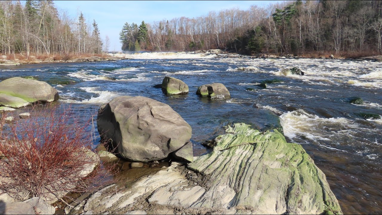 PARC DE LA RIVIÈRE BATISCAN - SENTIERS DE LA CHUTE À DENIS ET LE BUIS ...