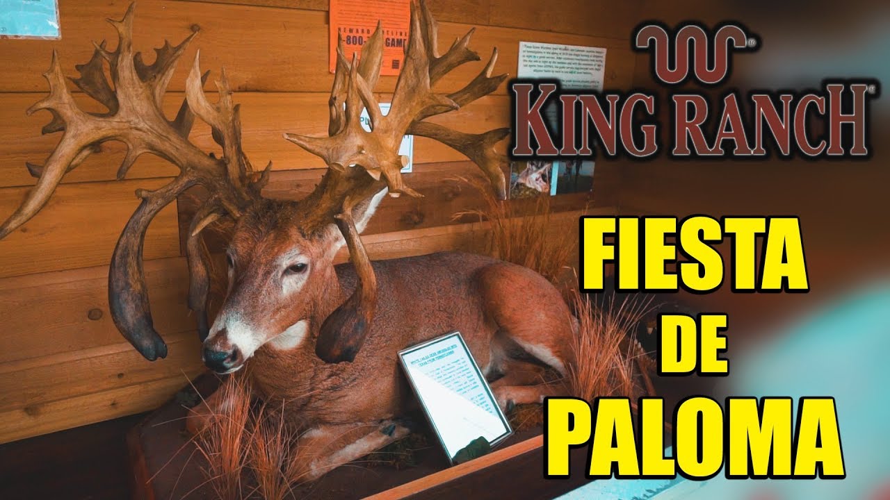 King Ranch Saddle Shop (World Famous) & Fiesta De Paloma in Kingsville ...