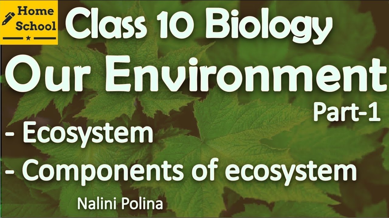 𝙊𝙪𝙧 𝙀𝙣𝙫𝙞𝙧𝙤𝙣𝙢𝙚𝙣𝙩 𝘽𝙞𝙤𝙡𝙤𝙜𝙮 𝘾𝙡𝙖𝙨𝙨 10 - Part 1 - YouTube