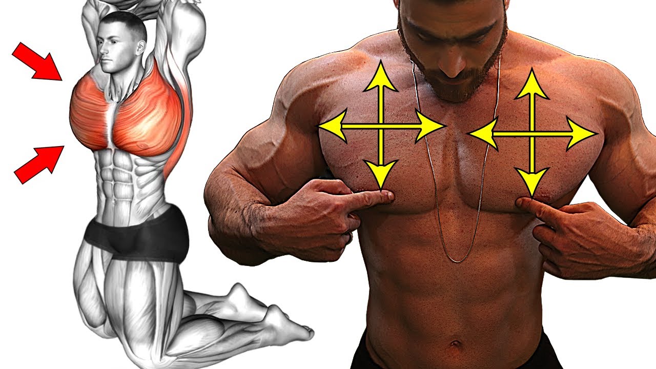 How to get a wide chest quickly? - chest workout - YouTube