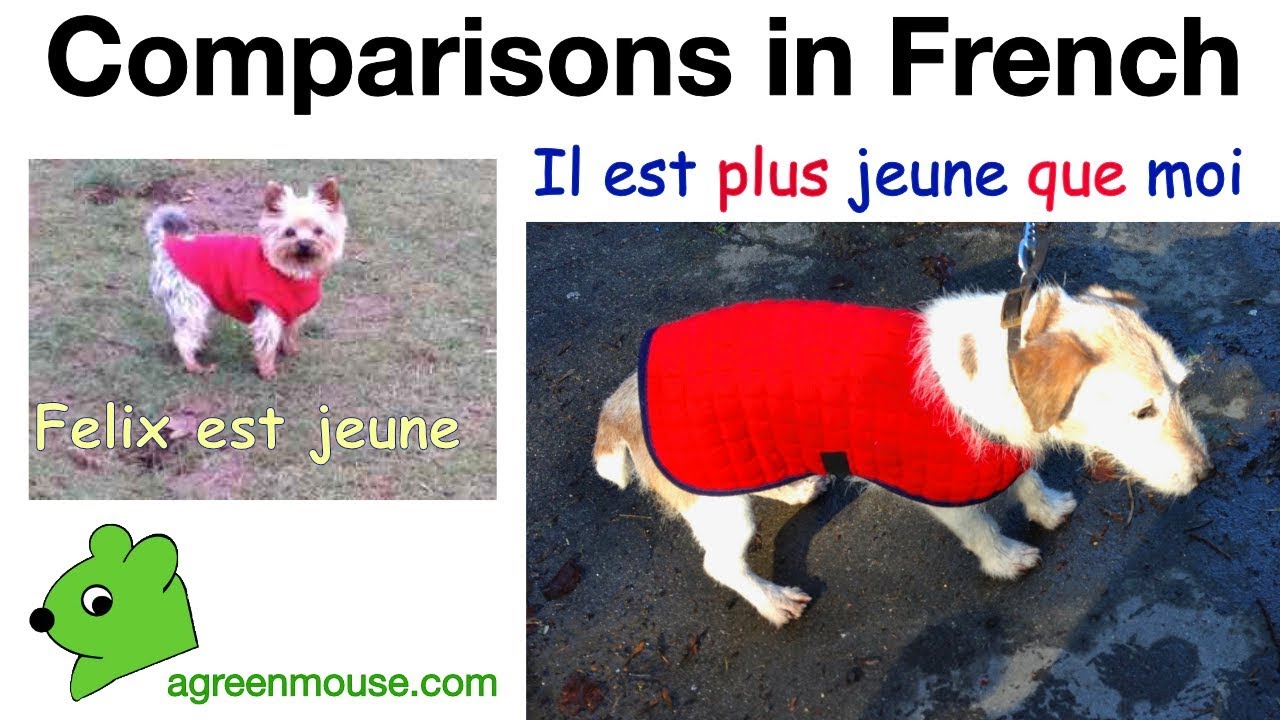 Comparisons in French: Plus ... que - YouTube
