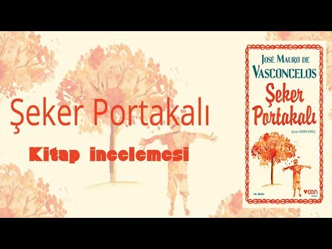 Şeker Portakalı - Kitap İncelemesi