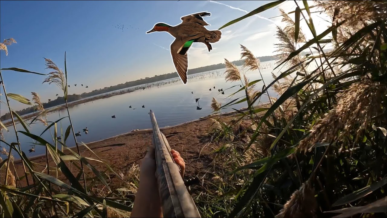 Fun Oklahoma youth duck opener!!! - YouTube