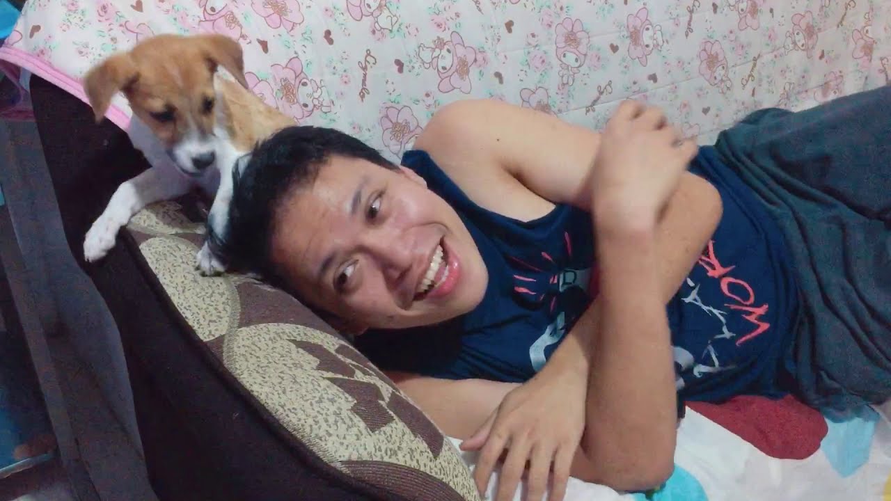 Doggo VS HOOman - YouTube