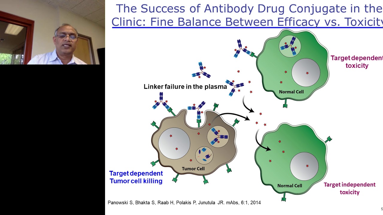 Targeted Cancer Chemotherapy: Developing NextGen Antibody-Drug ...