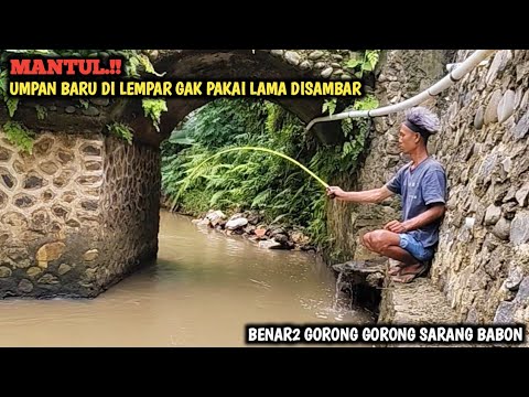 MANCING DI GORONG GORONG PINGGIR JALAN || TERNYATA SARANG IKAN WADER BABON - YouTube