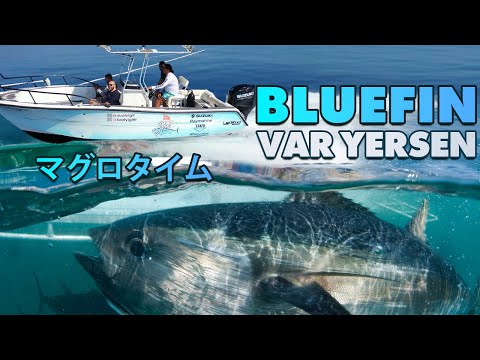 BLUEFIN RECORD! 11 HITS, 5 RELEASES IN 3 HOURS | Catch & Release
