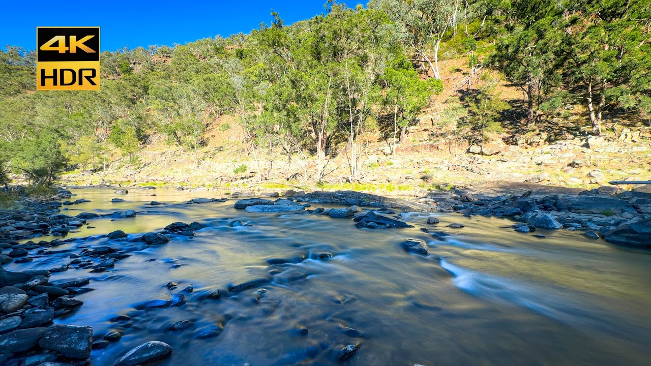 Morning on the Macquarie River | 4K HDR 60fps, Binaural audio, no loop ...