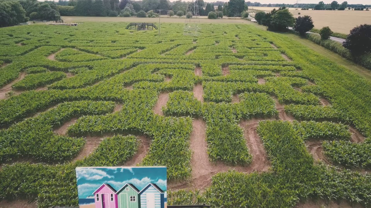 Millets Maze 2017 - YouTube