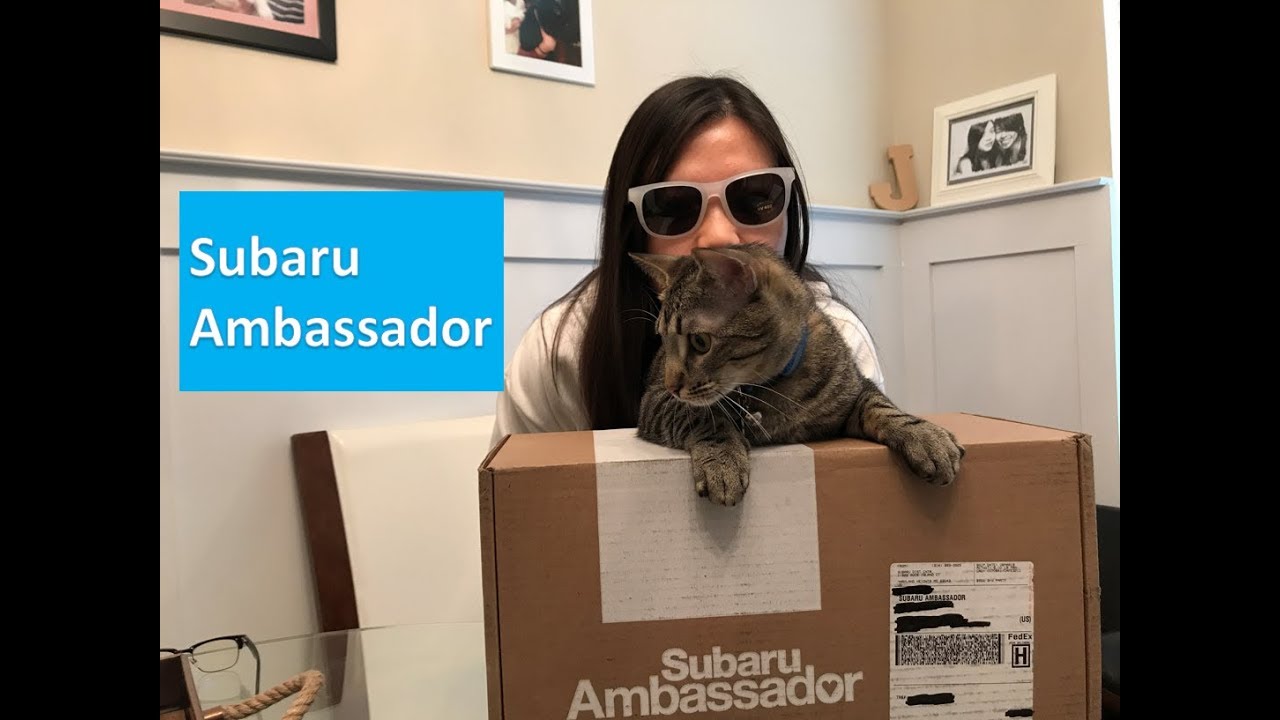 Subaru Ambassador Welcome Kit - YouTube
