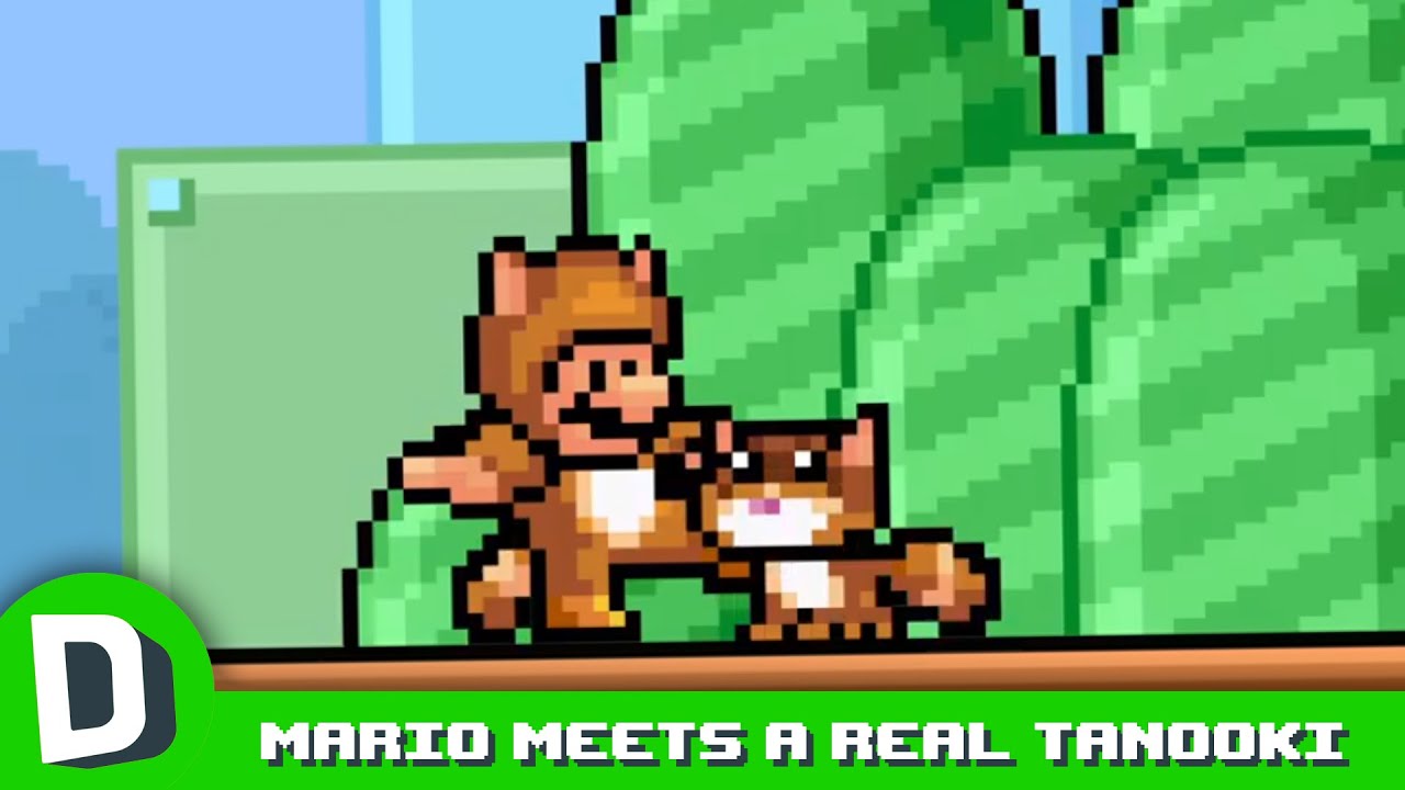 Mario Meets a Real Tanooki - YouTube