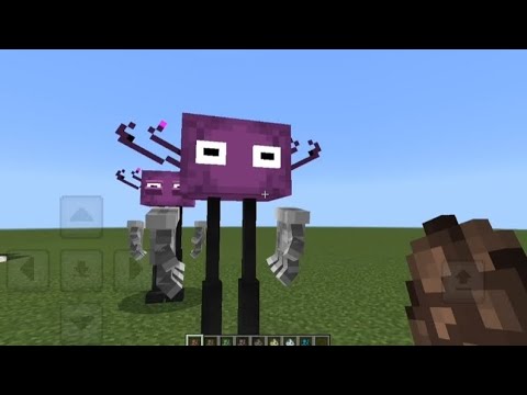 Kinito pet addon in minecraft pe - YouTube