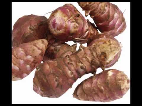 Jerusalem Artichokes Vegetable Health Benefits - YouTube