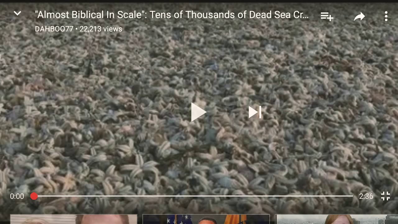 BIBLICAL PLAGUES: MURRAIN - YouTube
