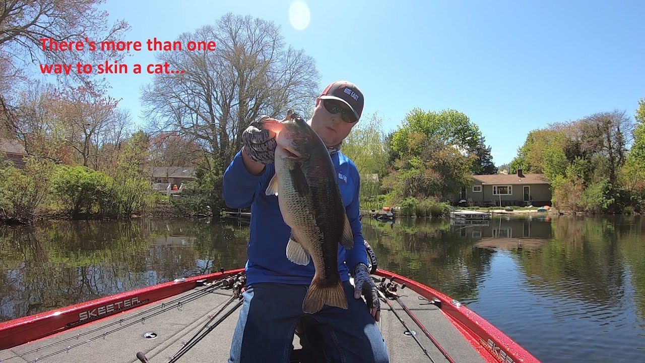 There's more than one way to skin a cat... - YouTube