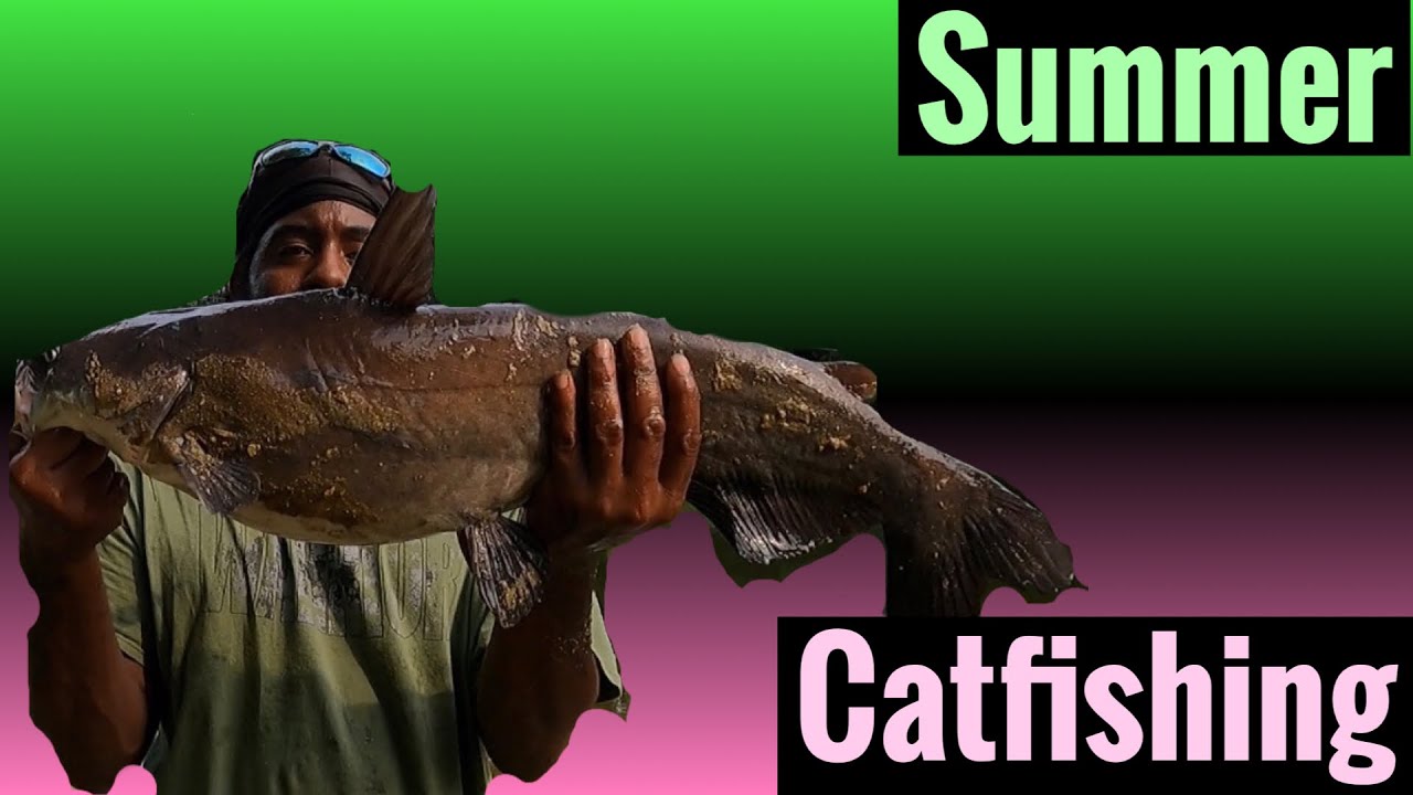 Lightning Catfishing Episode #1(Summer Bank Fishing) HD 1080p - YouTube