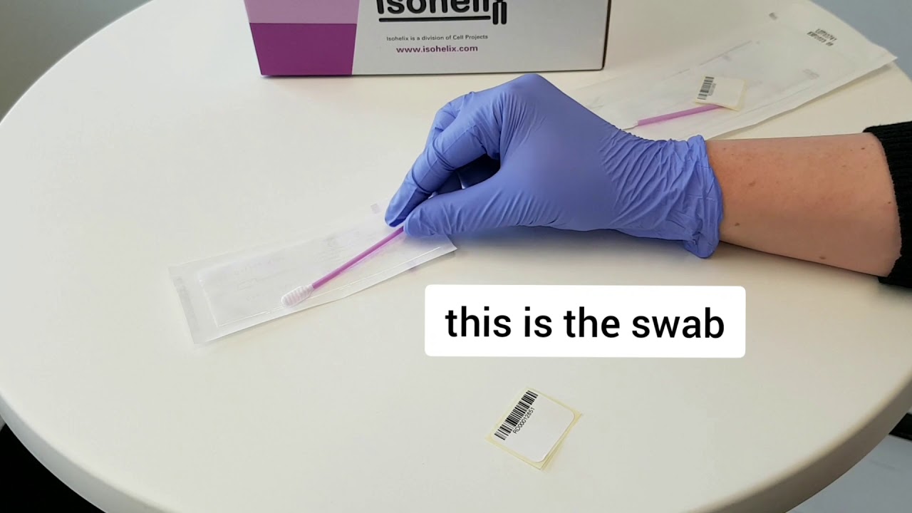 Isohelix RapiDri Buccal swabs with self drying pouch, Immuno Diagnostic ...