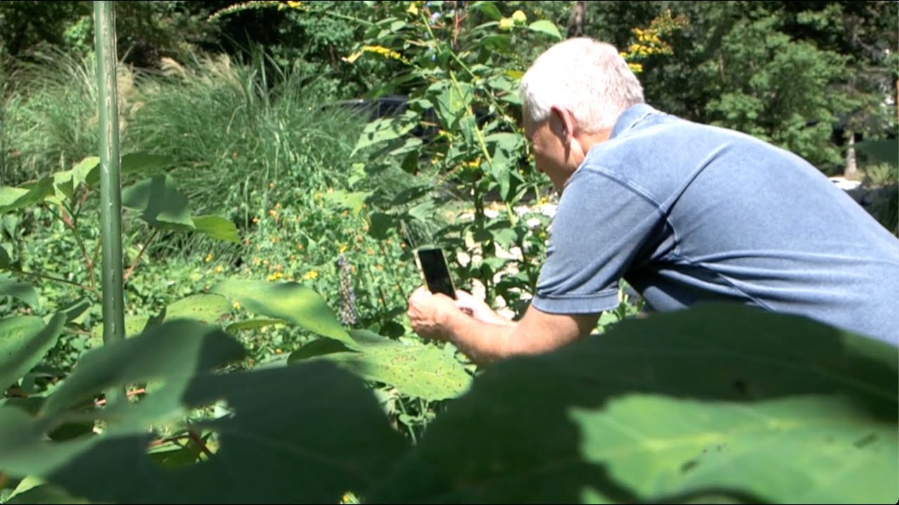 Becoming a Master Gardener and Naturalist Led to Big Things for a Man and his Garden - YouTube