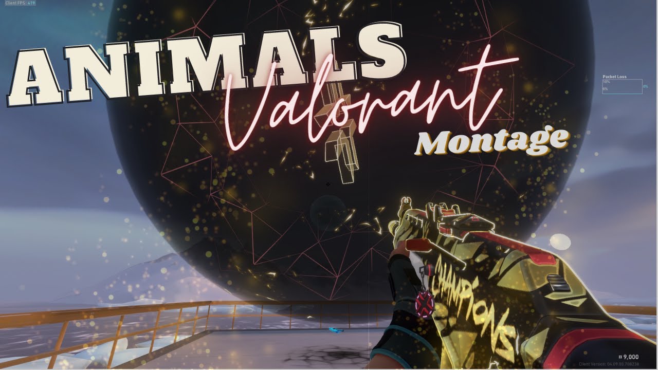 Animals 🦁 (A Valorant Montage ) ️ #valorant - YouTube