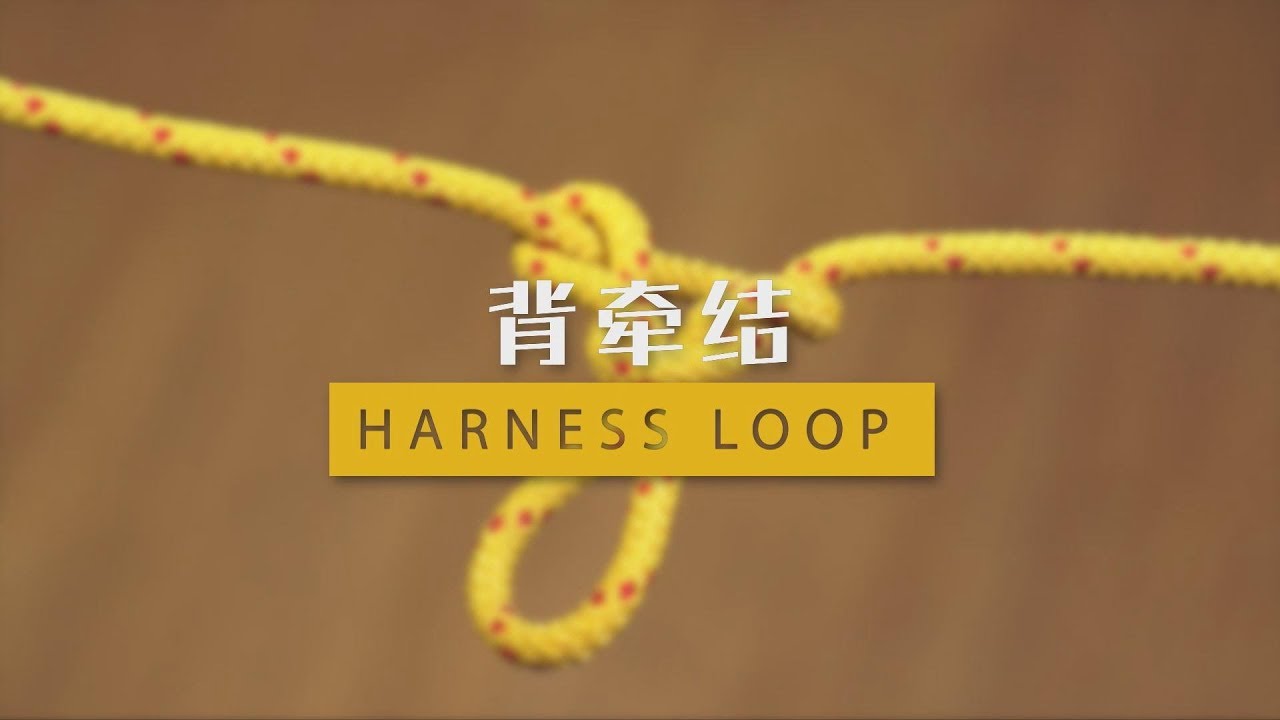 029背牵结 How to tie a Harness Loop - YouTube