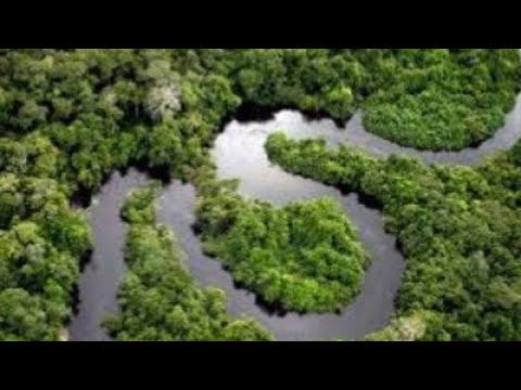 UFAHAMU MSITU WA AMAZON NA MAAJABU YAKE(The amazon forest documentary ...
