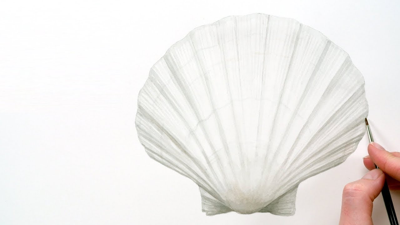 Realistic watercolor basics for beginners [monochrome shell painting ...