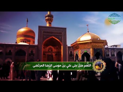 İmam Rzanın (ə) xüsusi salamı