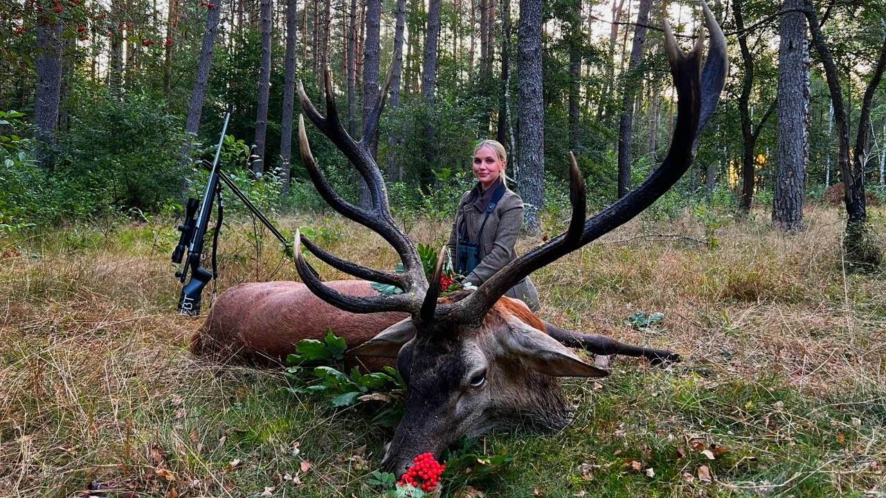 Jagderlebnisse auf youtube | Seite 525 | Parey Jagdausbildung