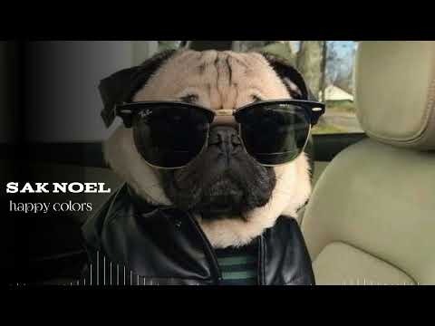 Sak Noel happy colors pasiando || remix || R_A_S_Music_140 || Best song 2022