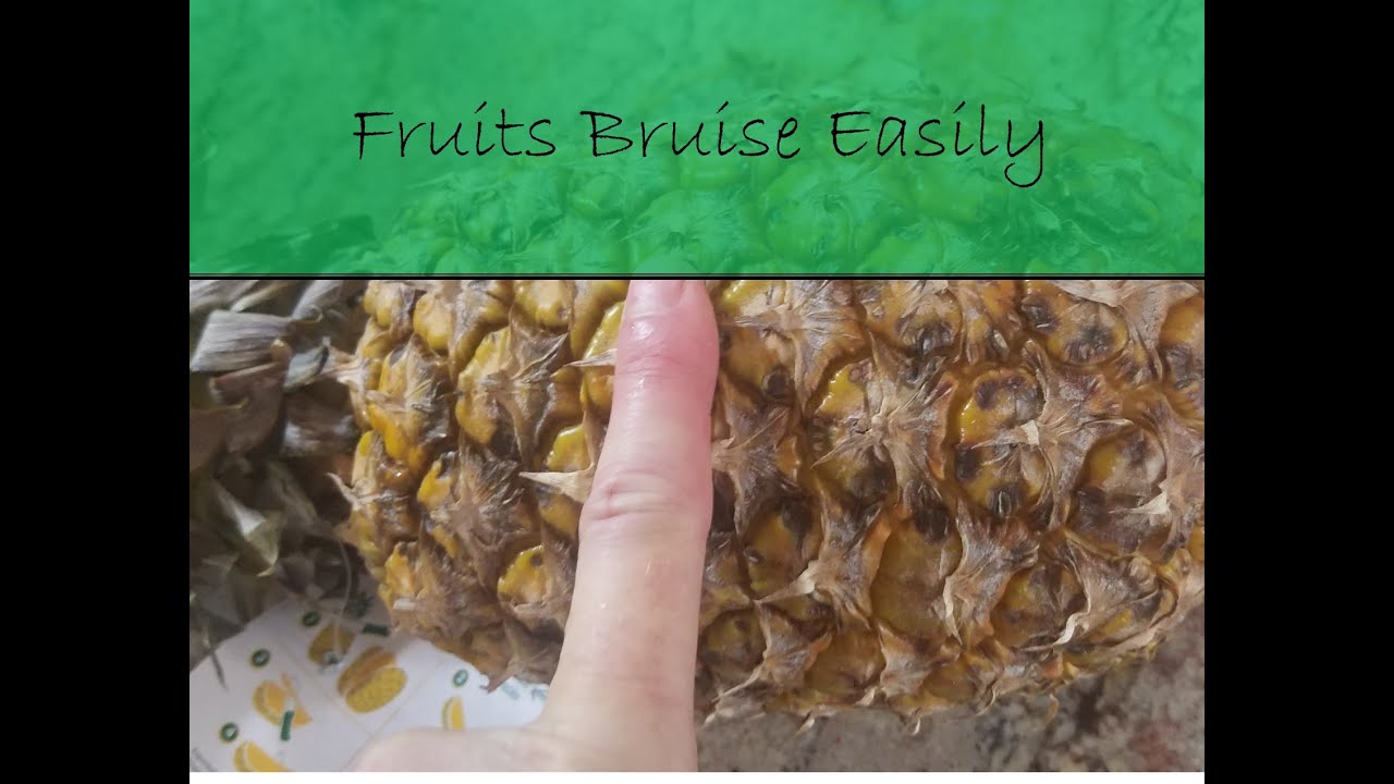 Fruits Bruise Easily shorts Natasha Bedingfield I Bruise Easily New Lyrics YouTube fruits-bruise-easily-shorts-natasha-bedingfield-i-bruise-easily-new-lyrics-youtube