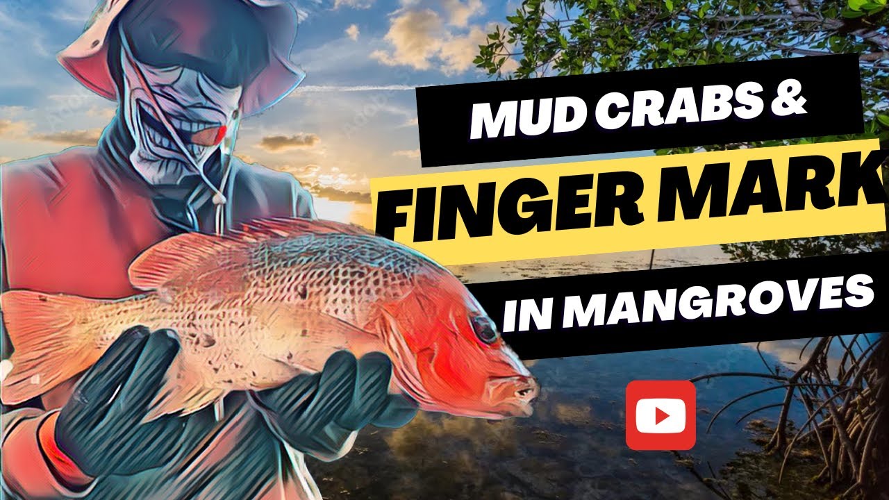 Mud Crabs & Finger Mark Mayhem! FNQ Mangrove Fishing Adventure (EP.3 ...